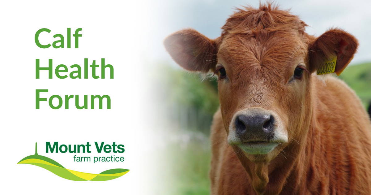Calf Health Forum - Mount Vets | Farm, Poultry & Gamebird