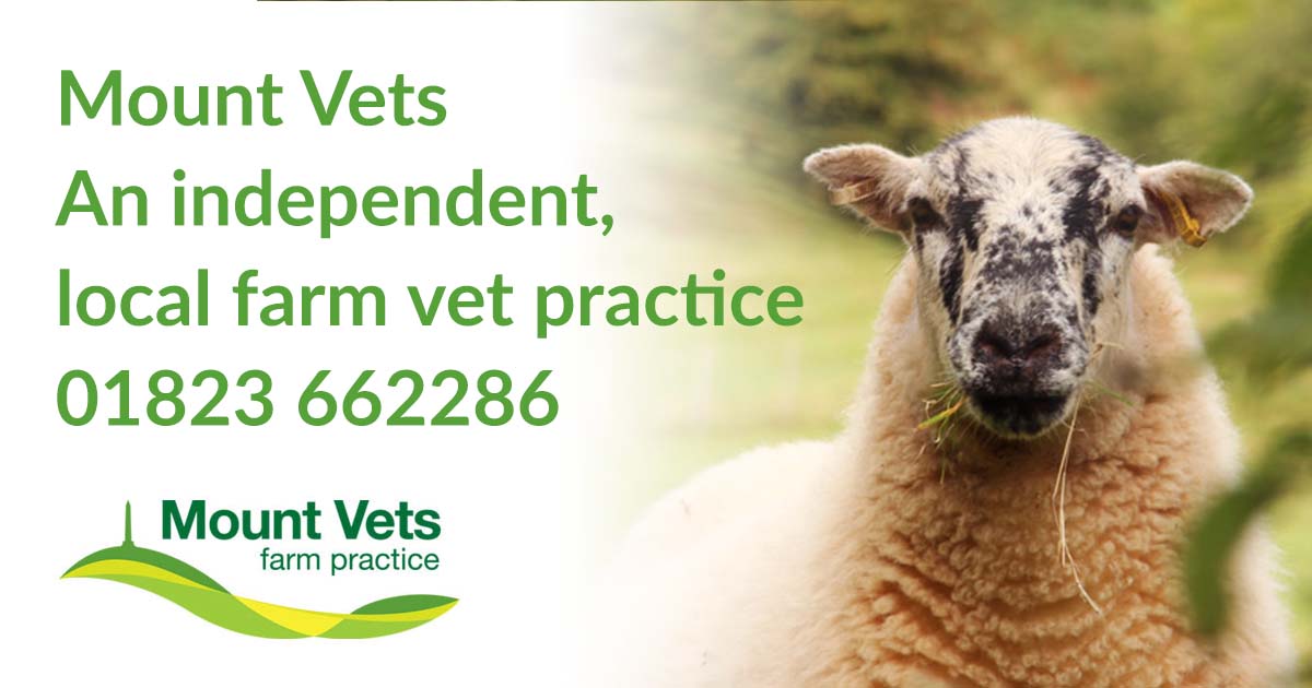 Mount Vets | An independent, local farm vet practice | 01823 662286
