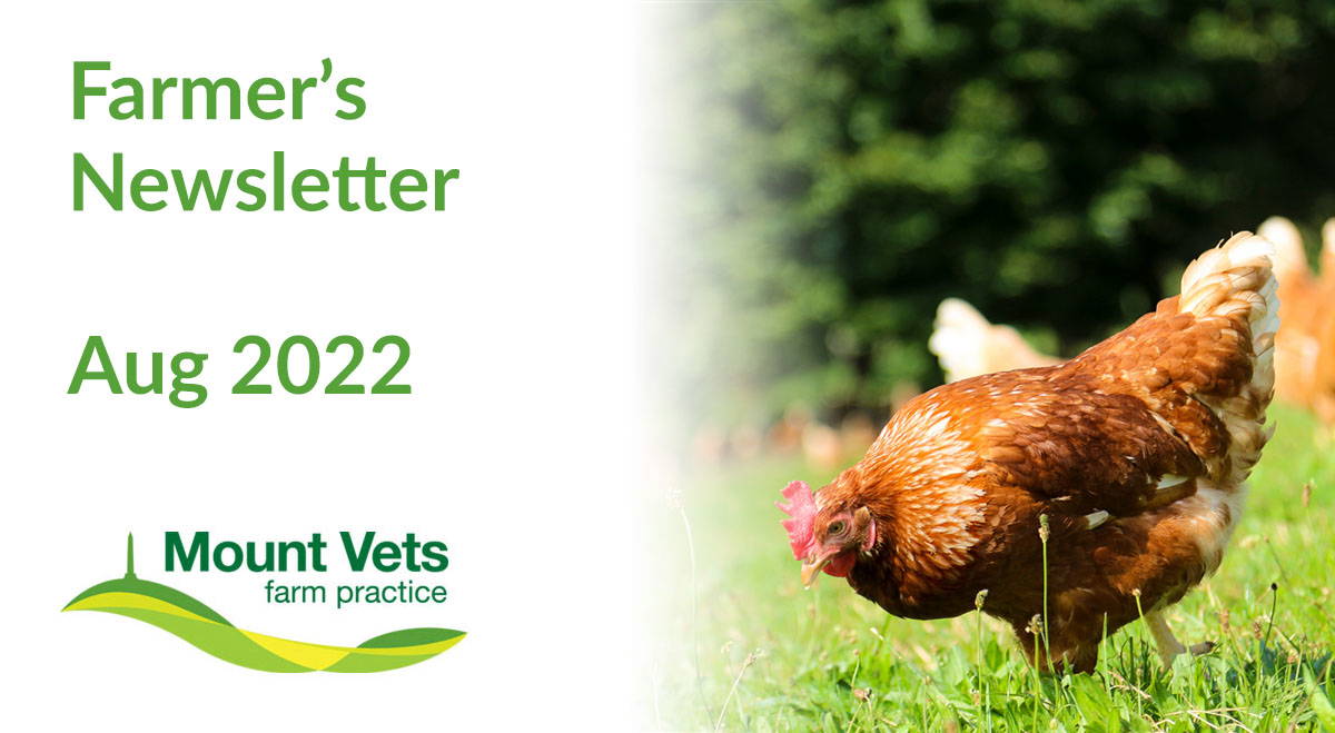 August 2022 Farm Newsletter | Mount Vets Farm Vet in Wellington