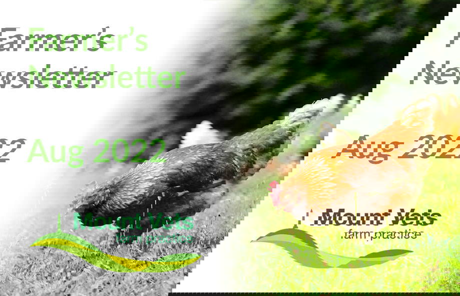 December 2022 Farmer's Newsletter | Mount Vets Farm Vets