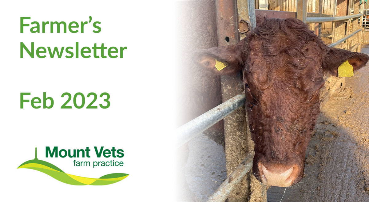 Farmer's Newsletter February 2023 | Mount Vets Farm Vets