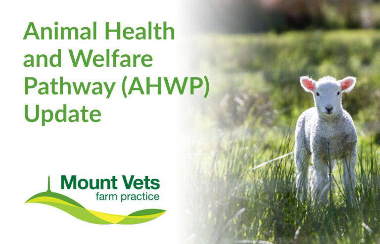 Animal Health and Welfare Pathway (AHWP) Update - Mount Vets | Farm ...