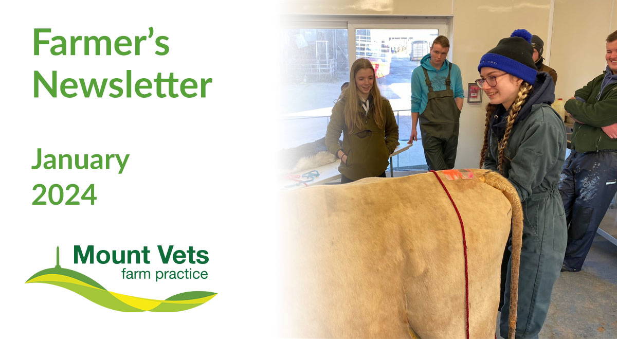 Farmers Newsletter January 2024 | Mount Vets Farm Vets