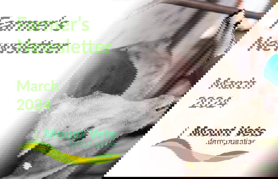 Farm Archives - Mount Vets | Farm, Poultry & Gamebird